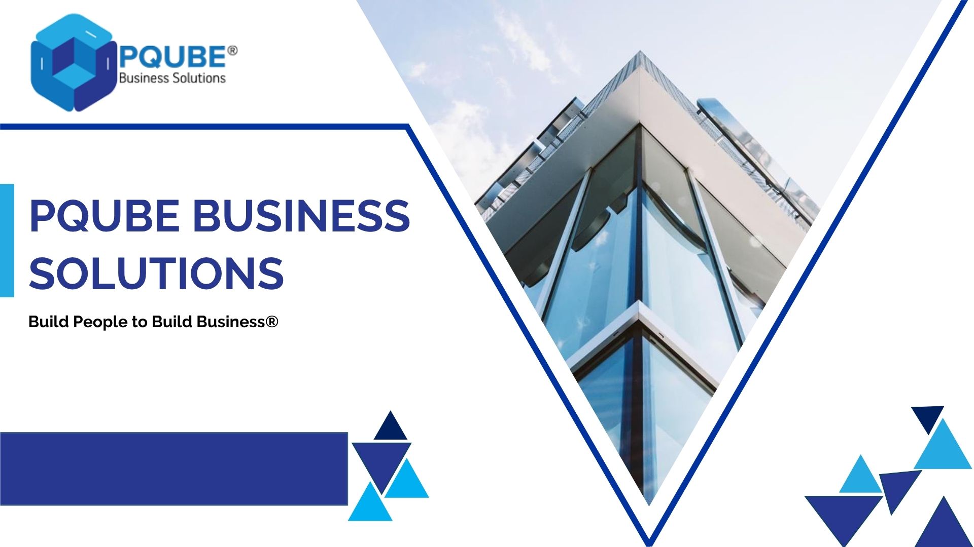 Our Portfolio | PQube